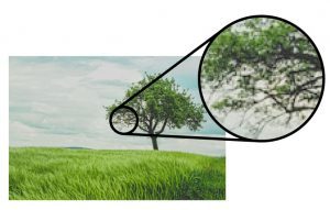 Mapa de bits y vectores, ¿qué son y cuál elijo?