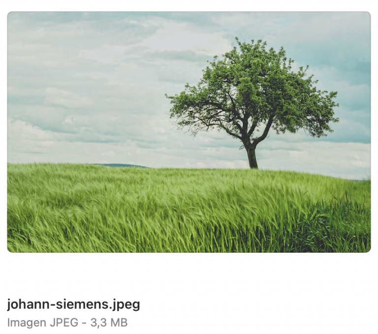 Mapa de bits y vectores, ¿qué son y cuál elijo?