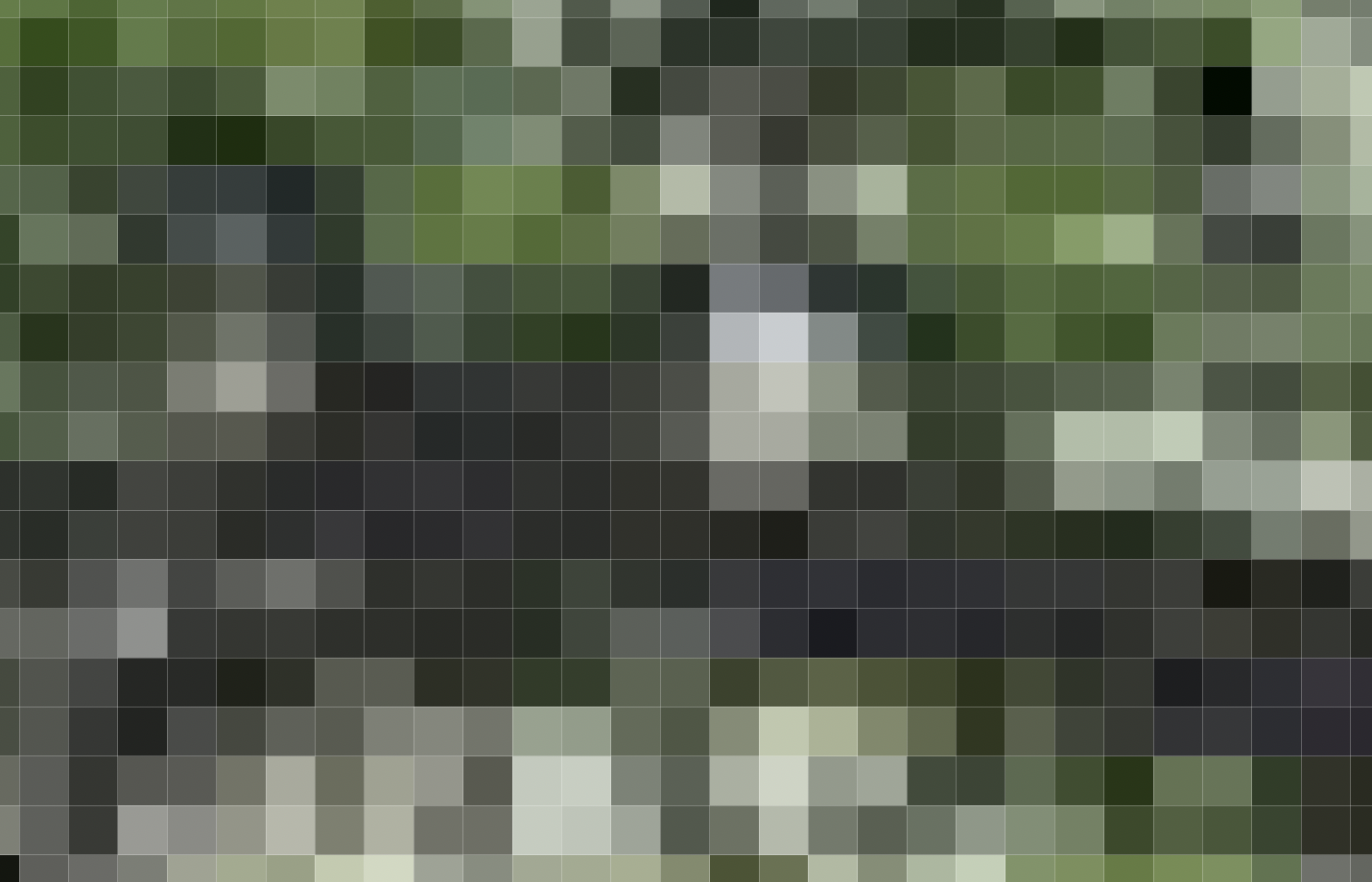 Mapa de bits y vectores, ¿qué son y cuál elijo?