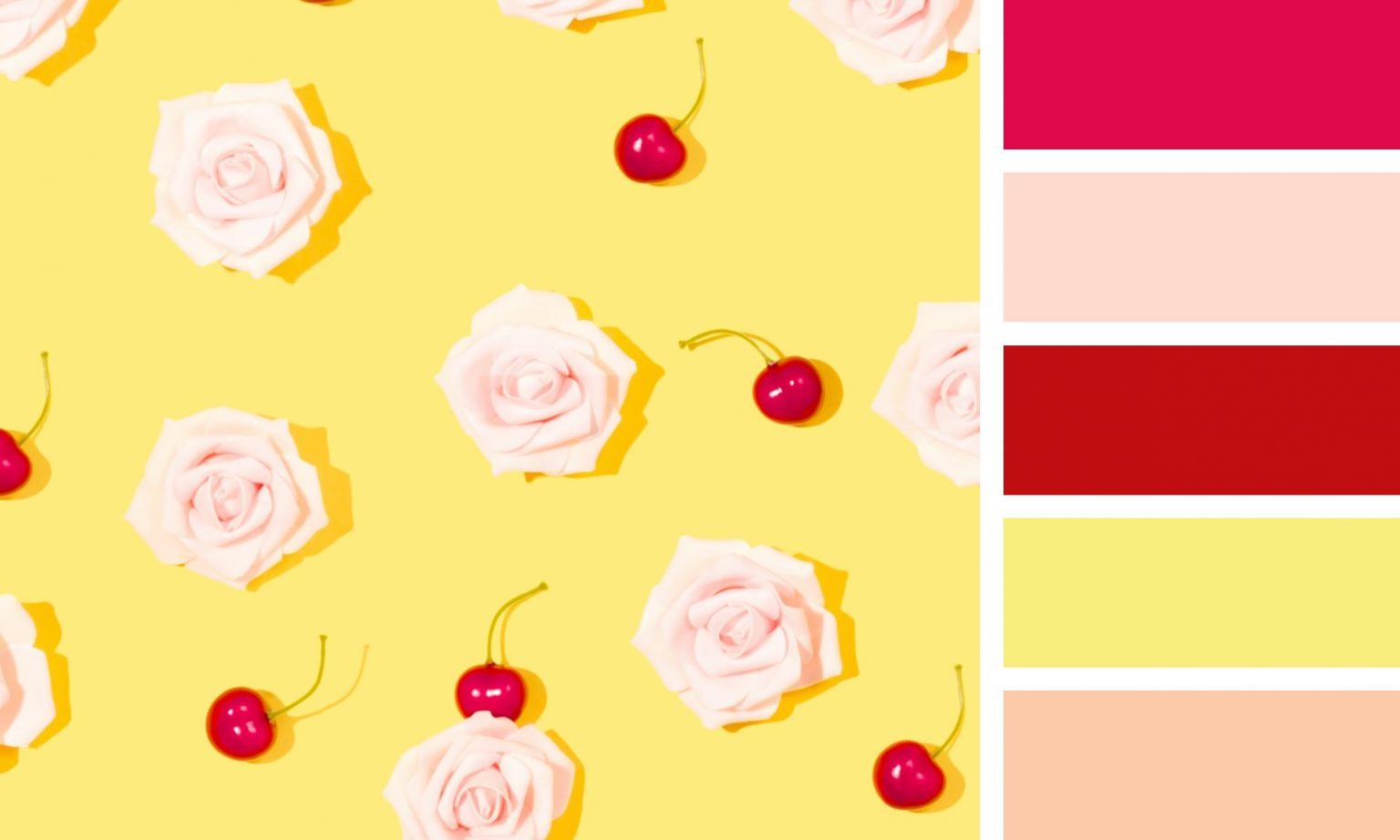 Términos de diseño gráfico que debes conocer si haces marketing